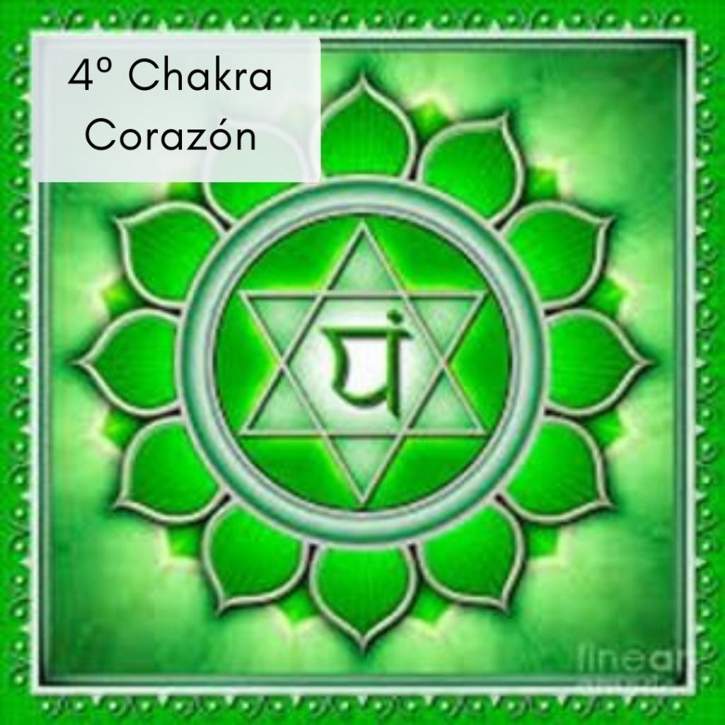 CHAKRAS Y SEXUALIDAD - Claudia Ashaya